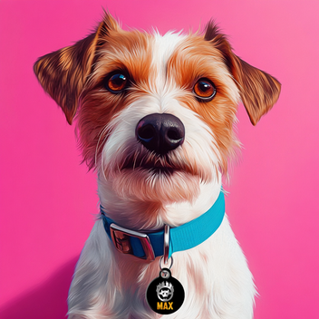 Unique Pet Tags I Customizable Pet ID Tags | Dog Tag Art