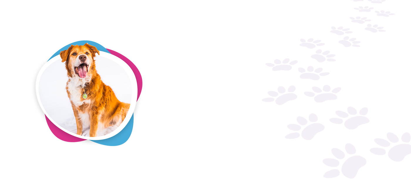 We Ruff You, Mom: Stories of Dogs and Their Mamas