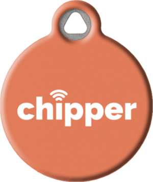 Wholesale and Bulk Dog Tags